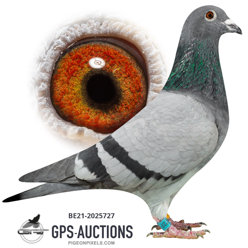 Koen van Roy Part 4 - GPS-Auctions