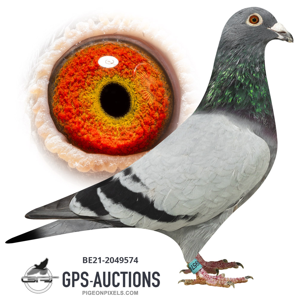 Koen van Roy Part 4 - GPS-Auctions