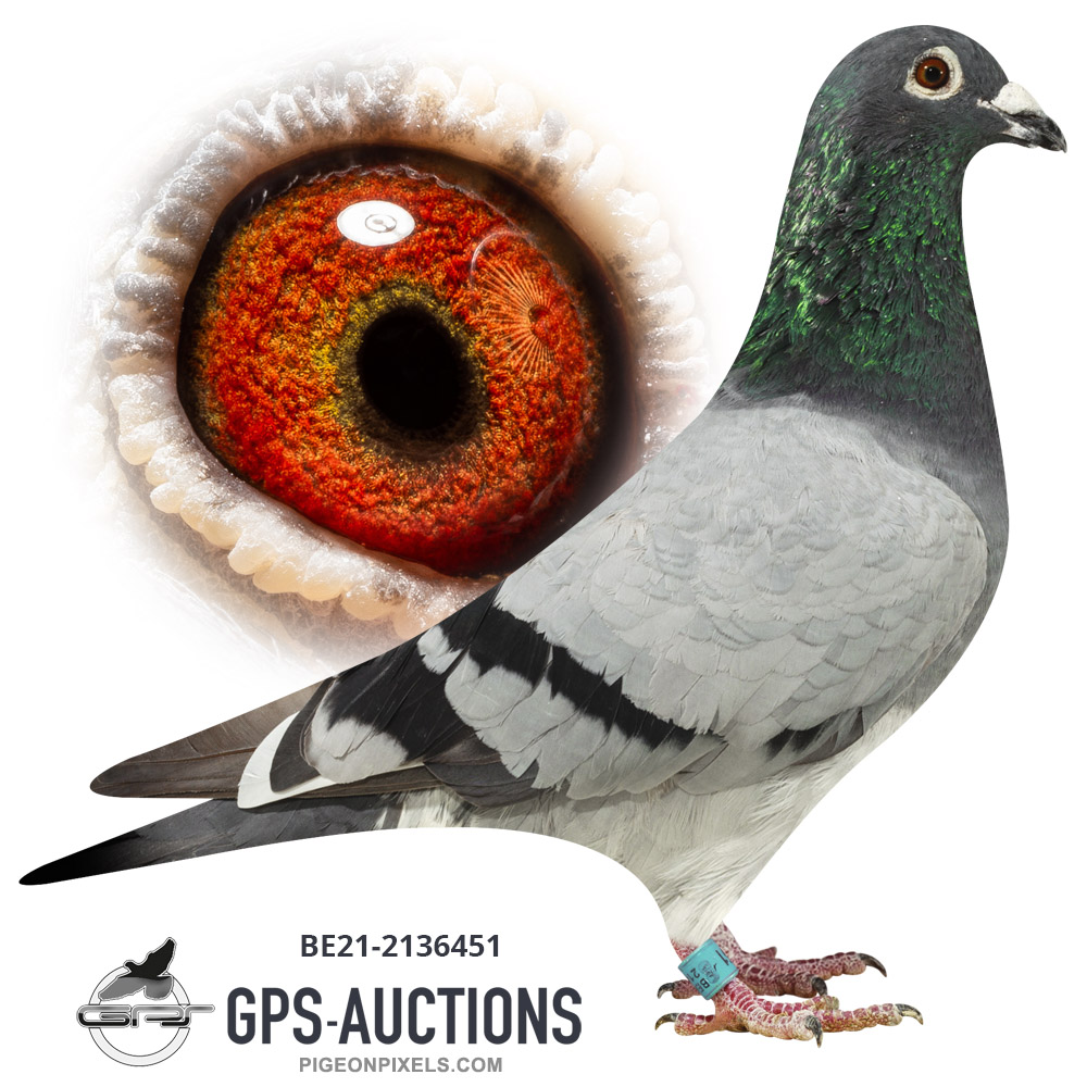 Koen van Roy Part 3 - GPS-Auctions