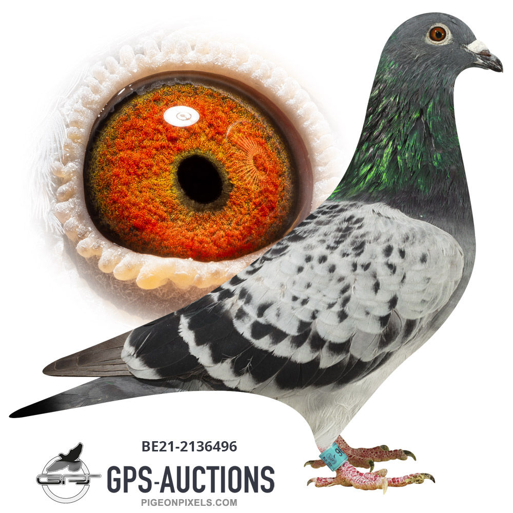 Koen van Roy Part 3 - GPS-Auctions
