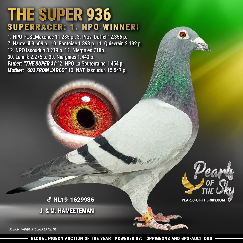 Pearls Of The Sky Part 2 - GPS-Auctions