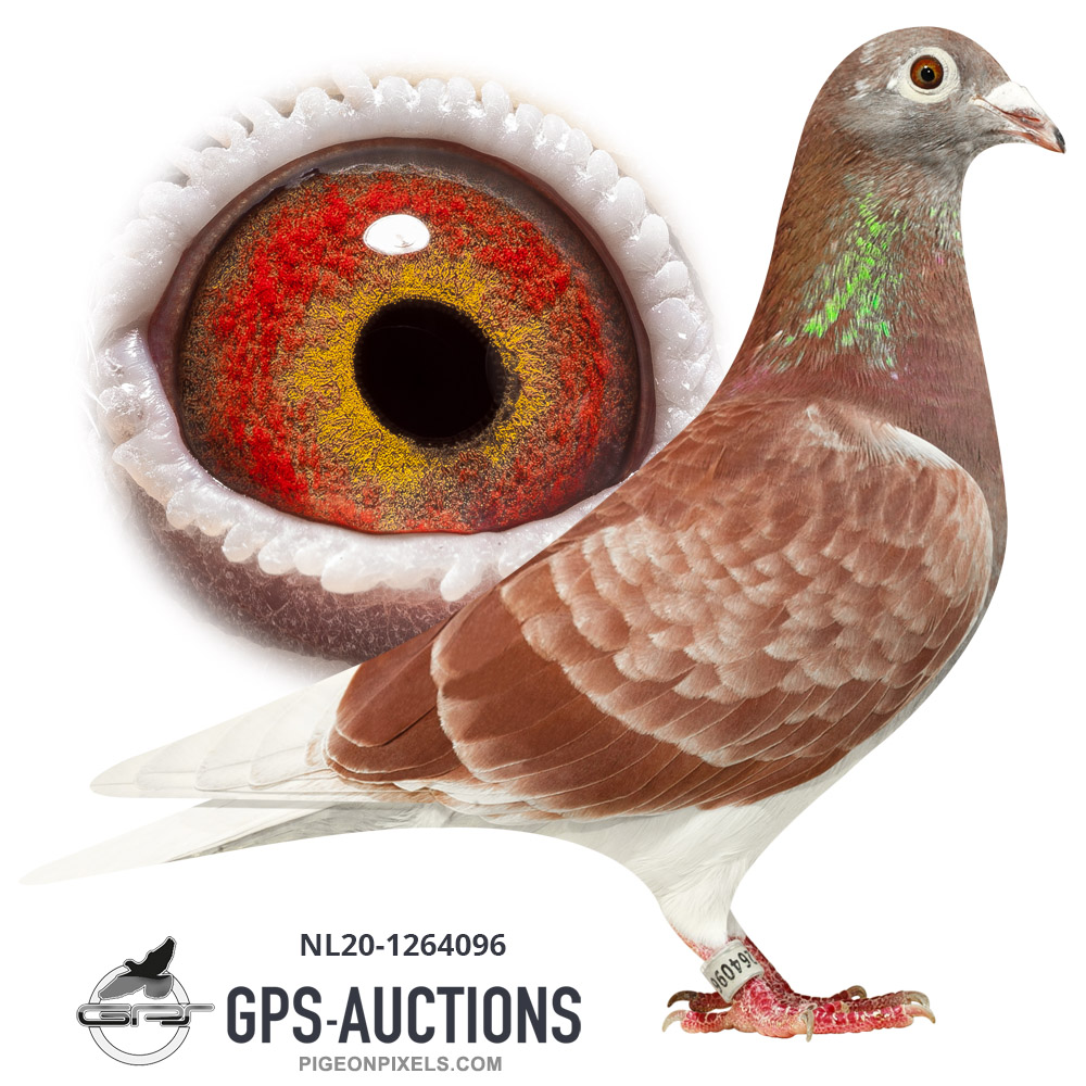 Comb. Weijers - GPS-Auctions