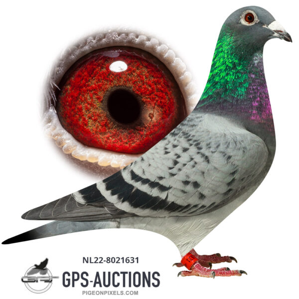 Comb. R. & S. Fokkinga - GPS-Auctions