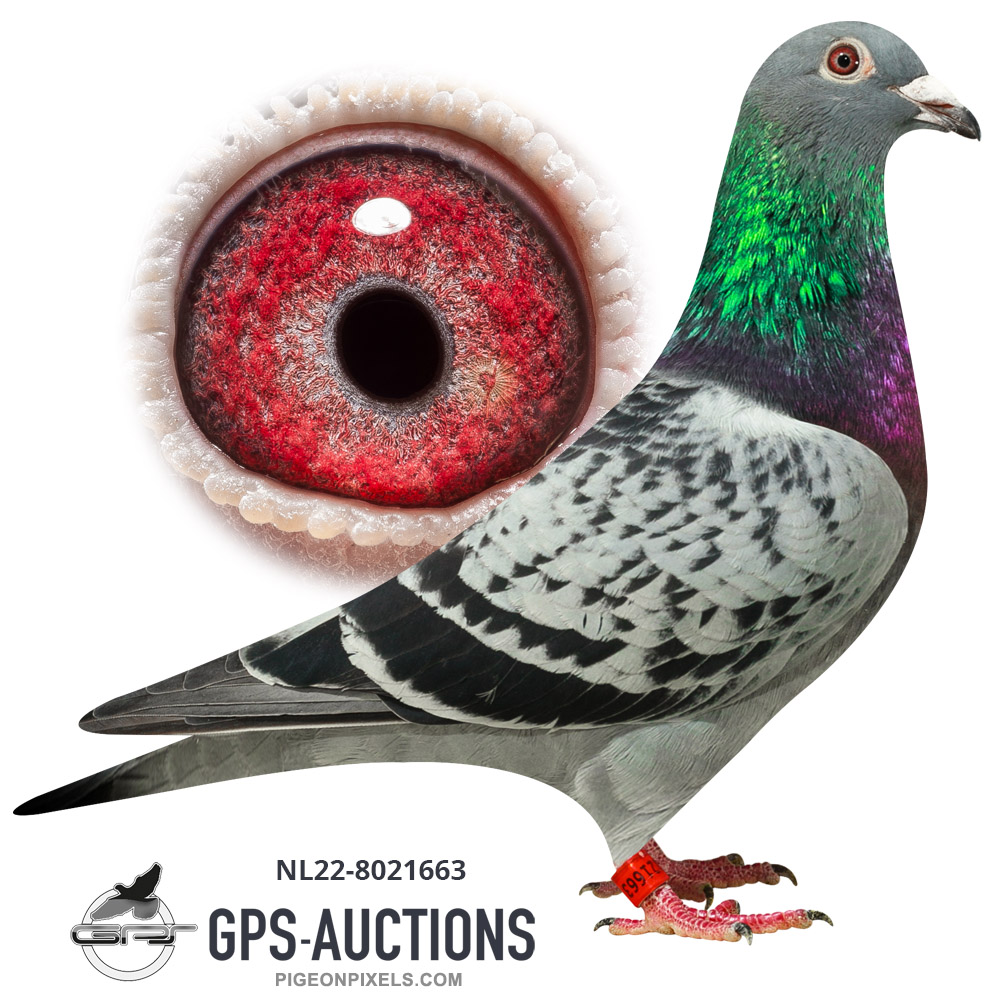 Comb. R. & S. Fokkinga - GPS-Auctions