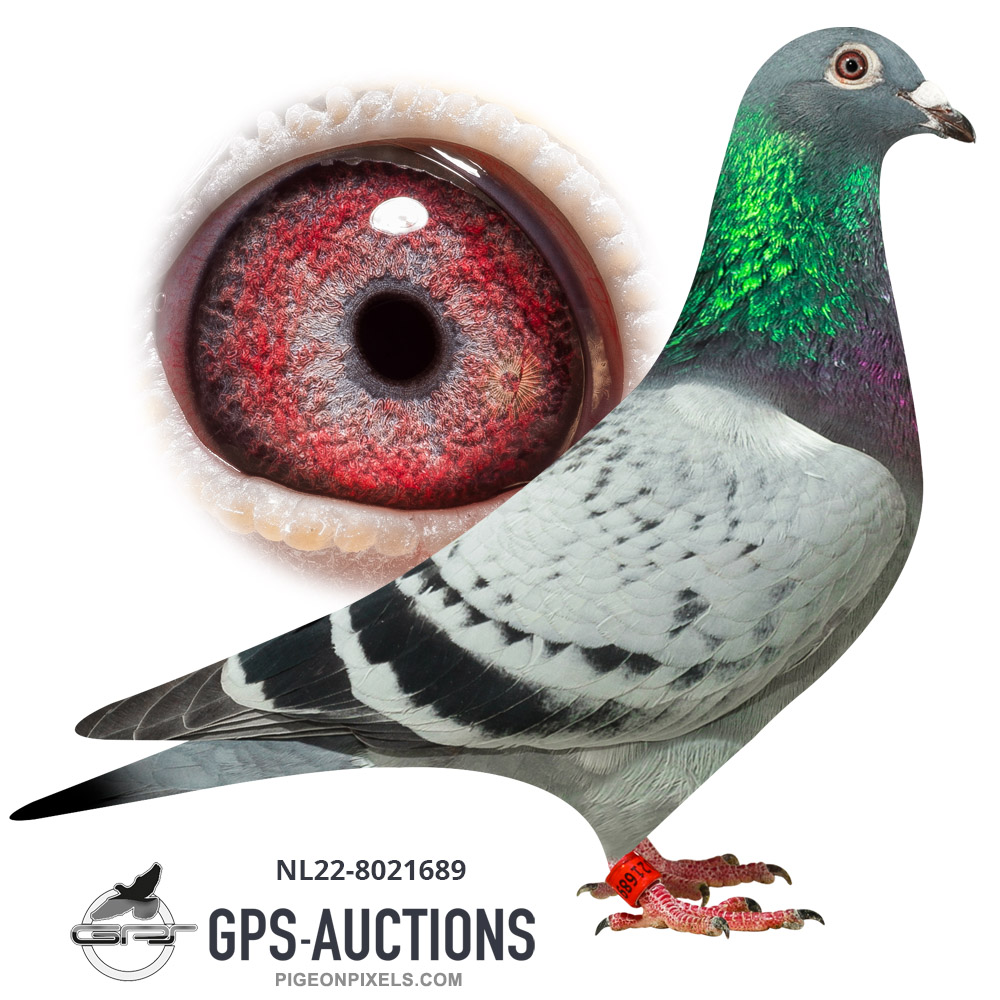 Comb. R. & S. Fokkinga - GPS-Auctions