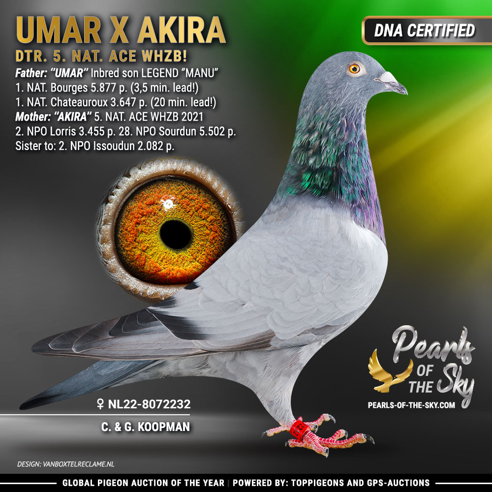 Pearls Of The Sky Part 1 - GPS-Auctions