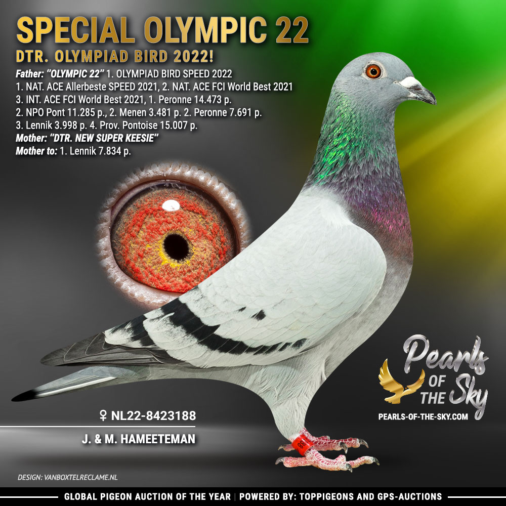 Pearls Of The Sky Part 2 - GPS-Auctions