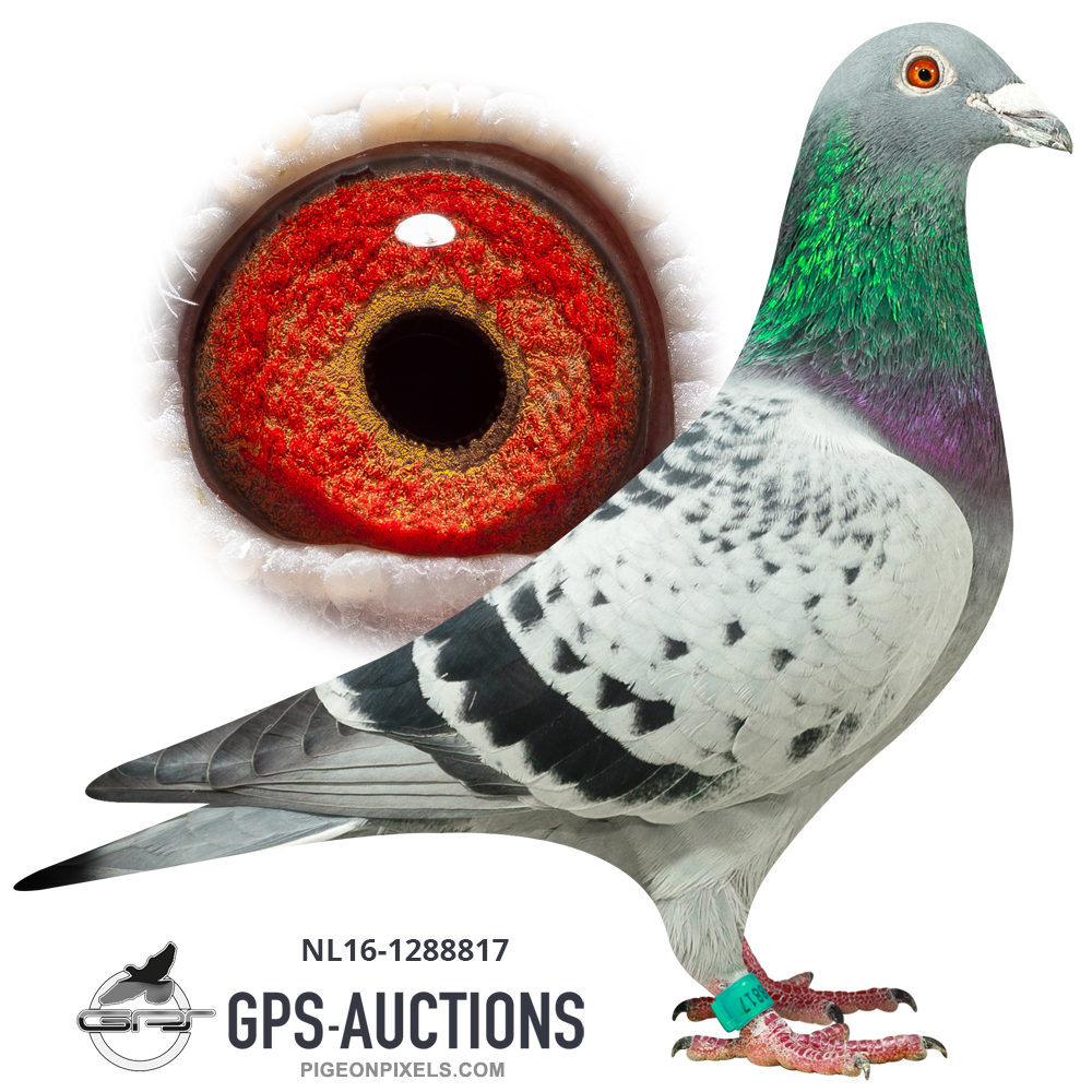 Peter Janssen Special - GPS-Auctions