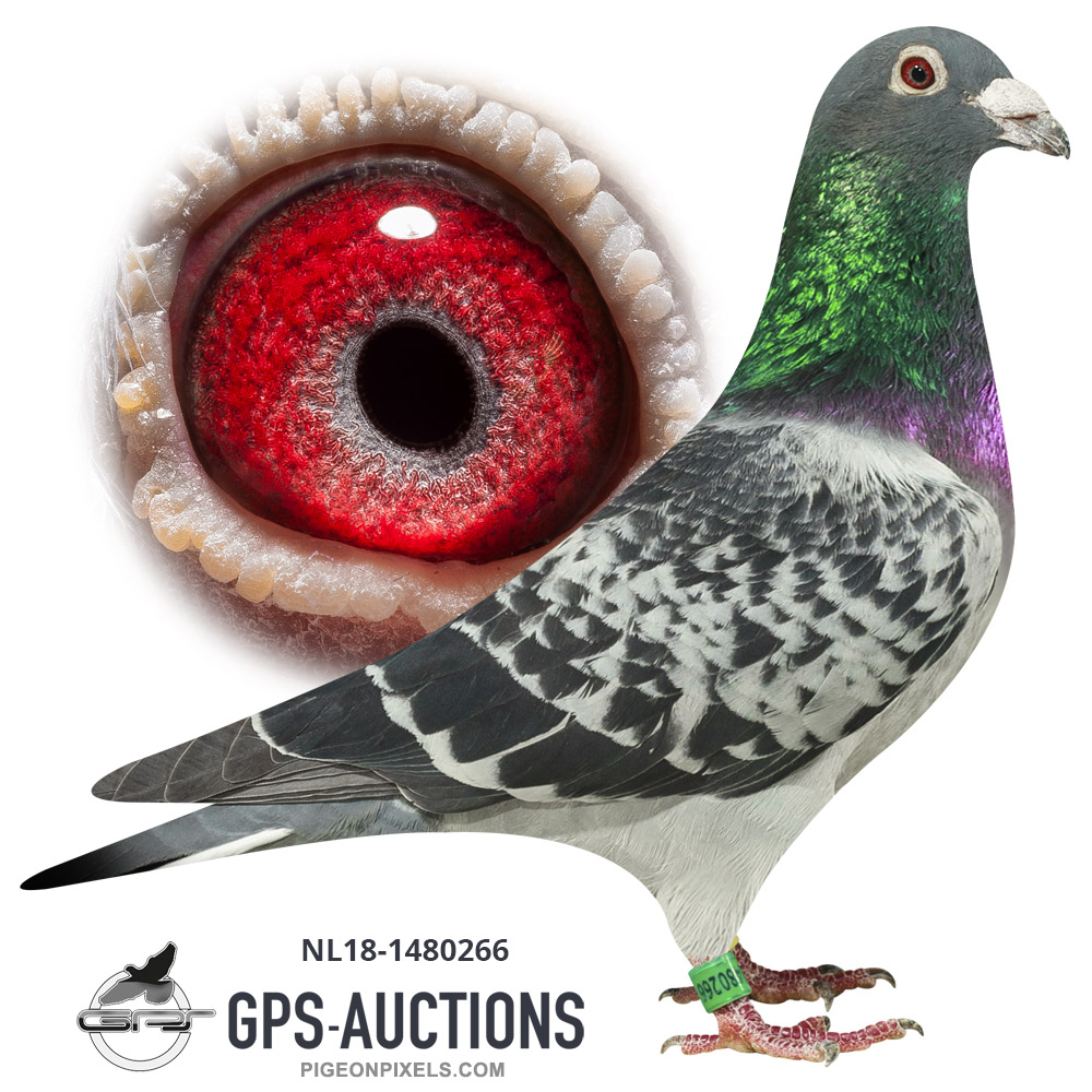 The Mark van den Berg Collection - GPS-Auctions