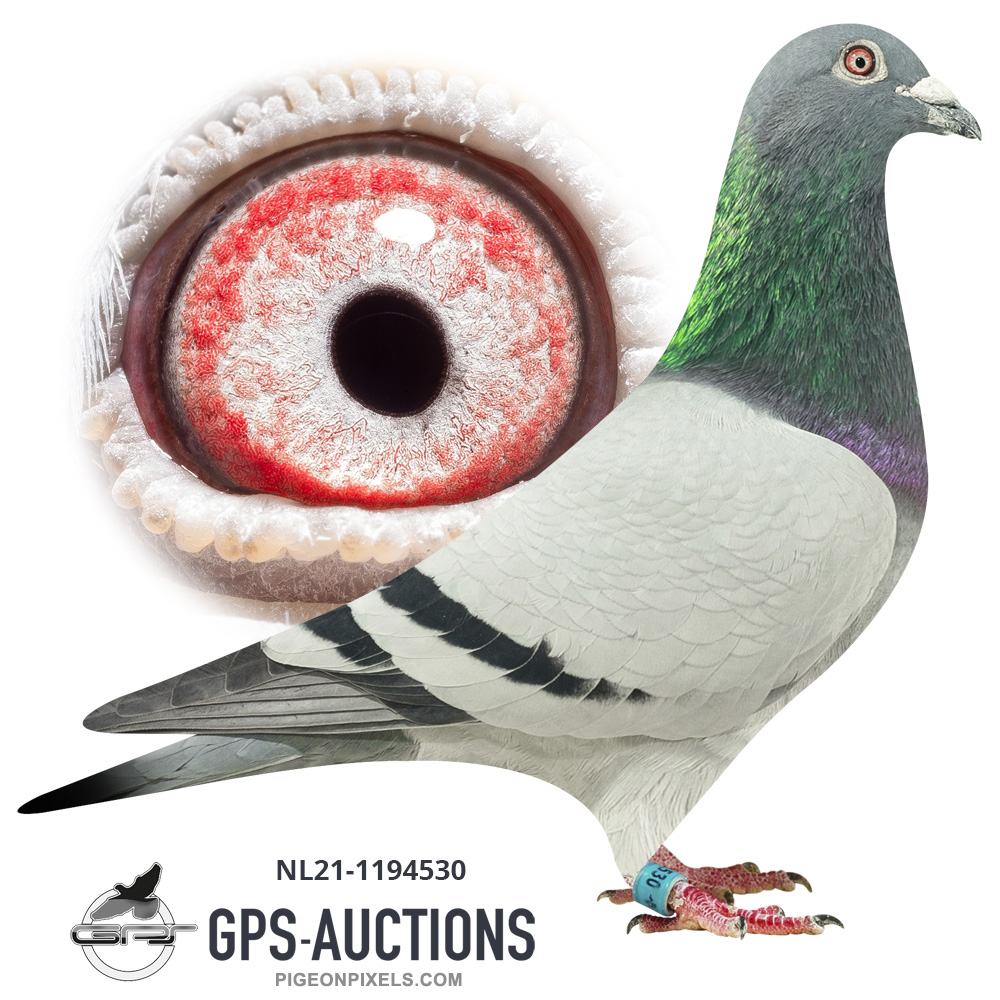 The Verkerk Collection Part 2 - GPS-Auctions