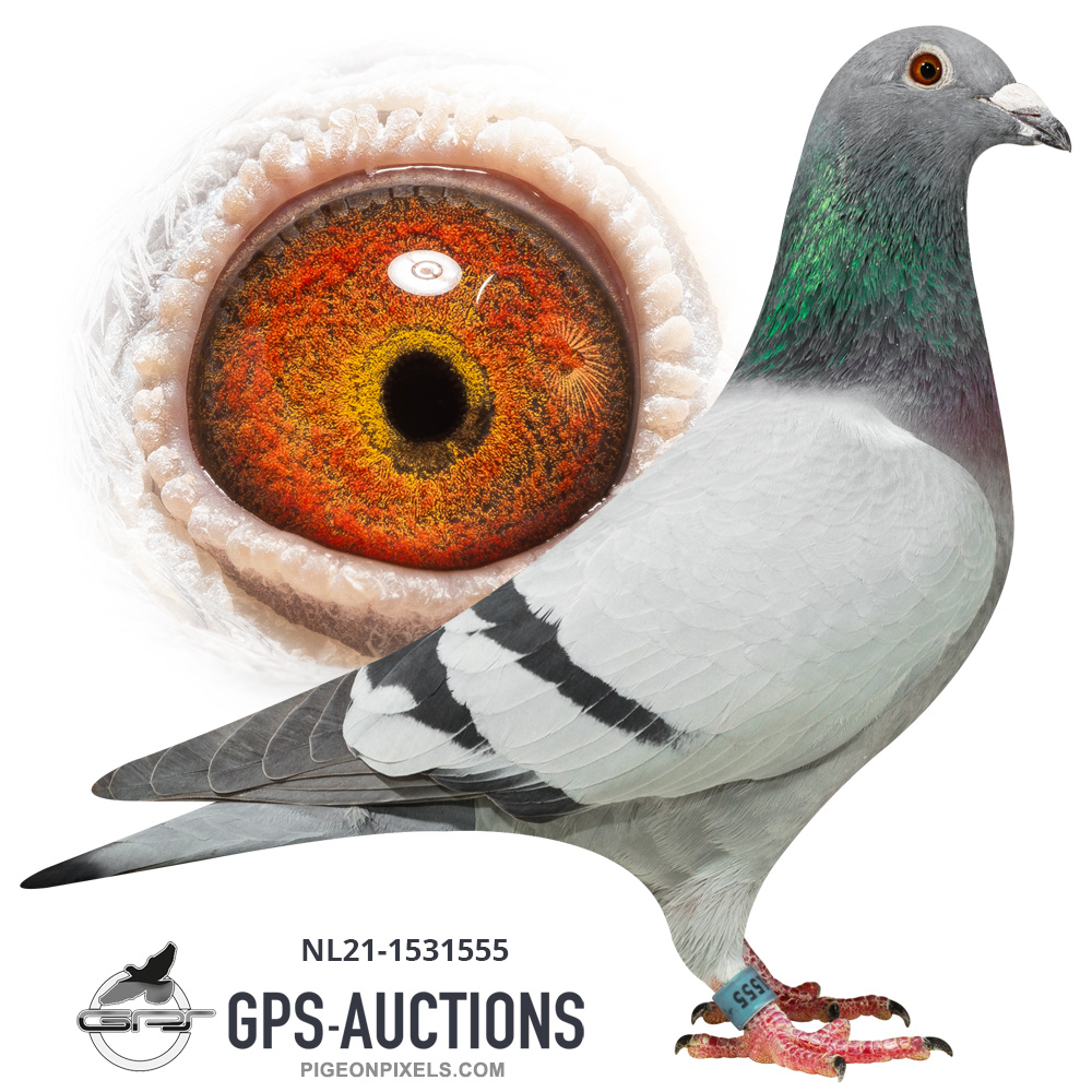 Total Auction The Late Henri Van Den Berg 第 4 部分 Gps Auctions