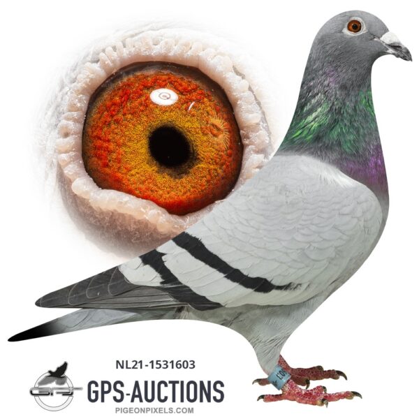 Total Auction: (The Late) Henri van den Berg Part 4 - GPS-Auctions