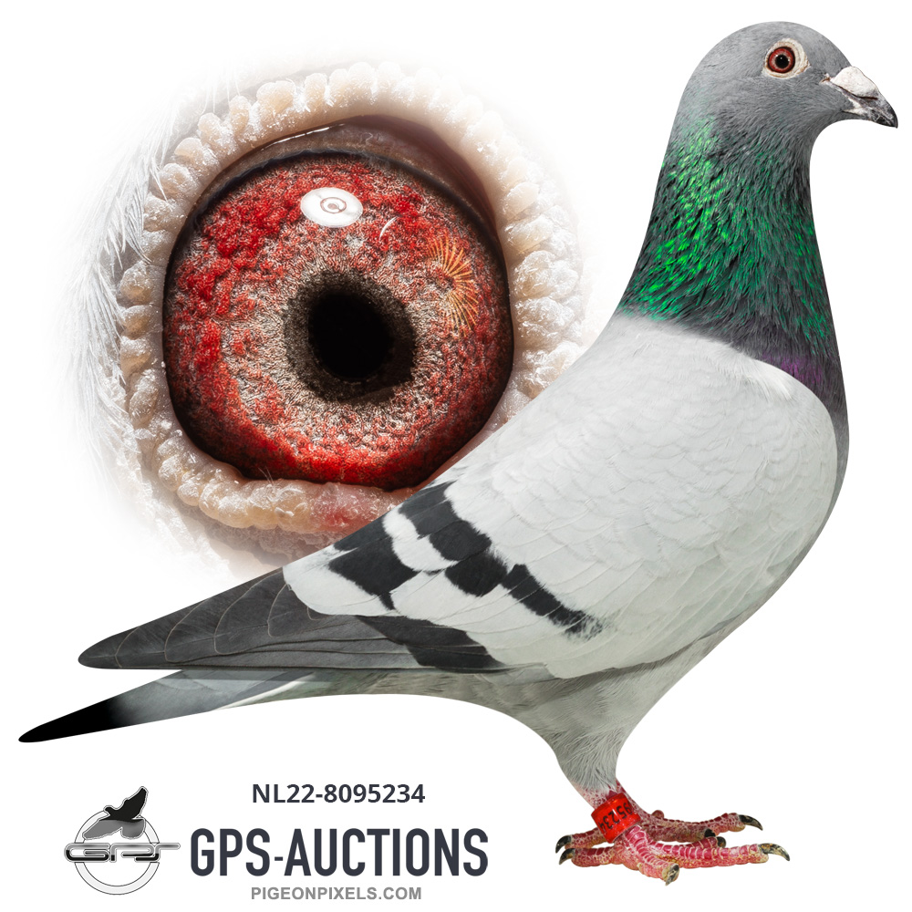 Total Auction: (The Late) Henri van den Berg Part 2 - GPS-Auctions