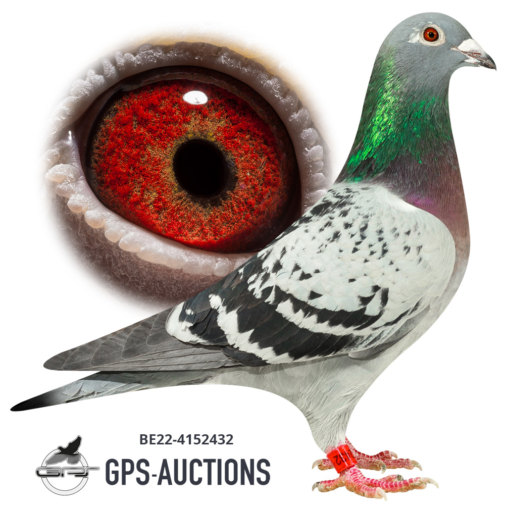 Team De Jaeger Freddy "Partie 2 L'Héritage" - Partie 7 - GPS-Auctions