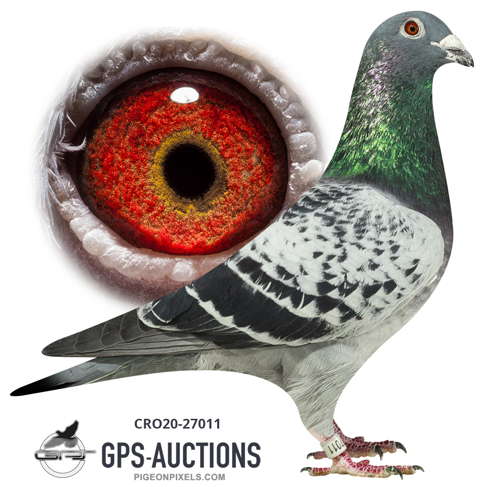 The Best from Croatia - GPS-Auctions