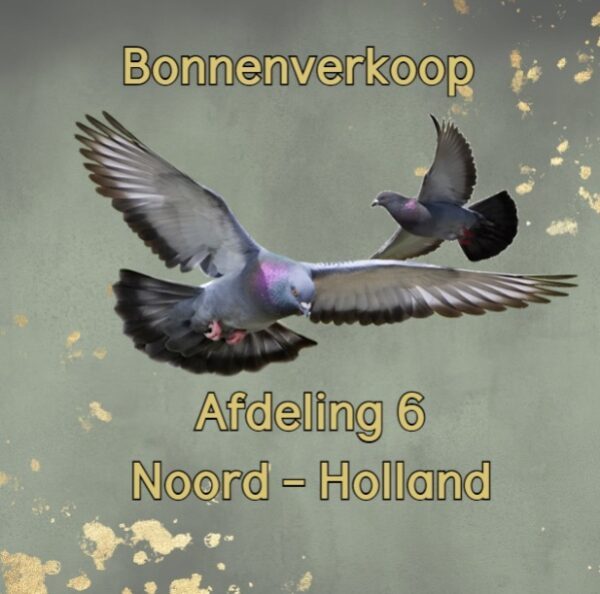 Afdeling 6 Noord - Holland - GPS-Auctions