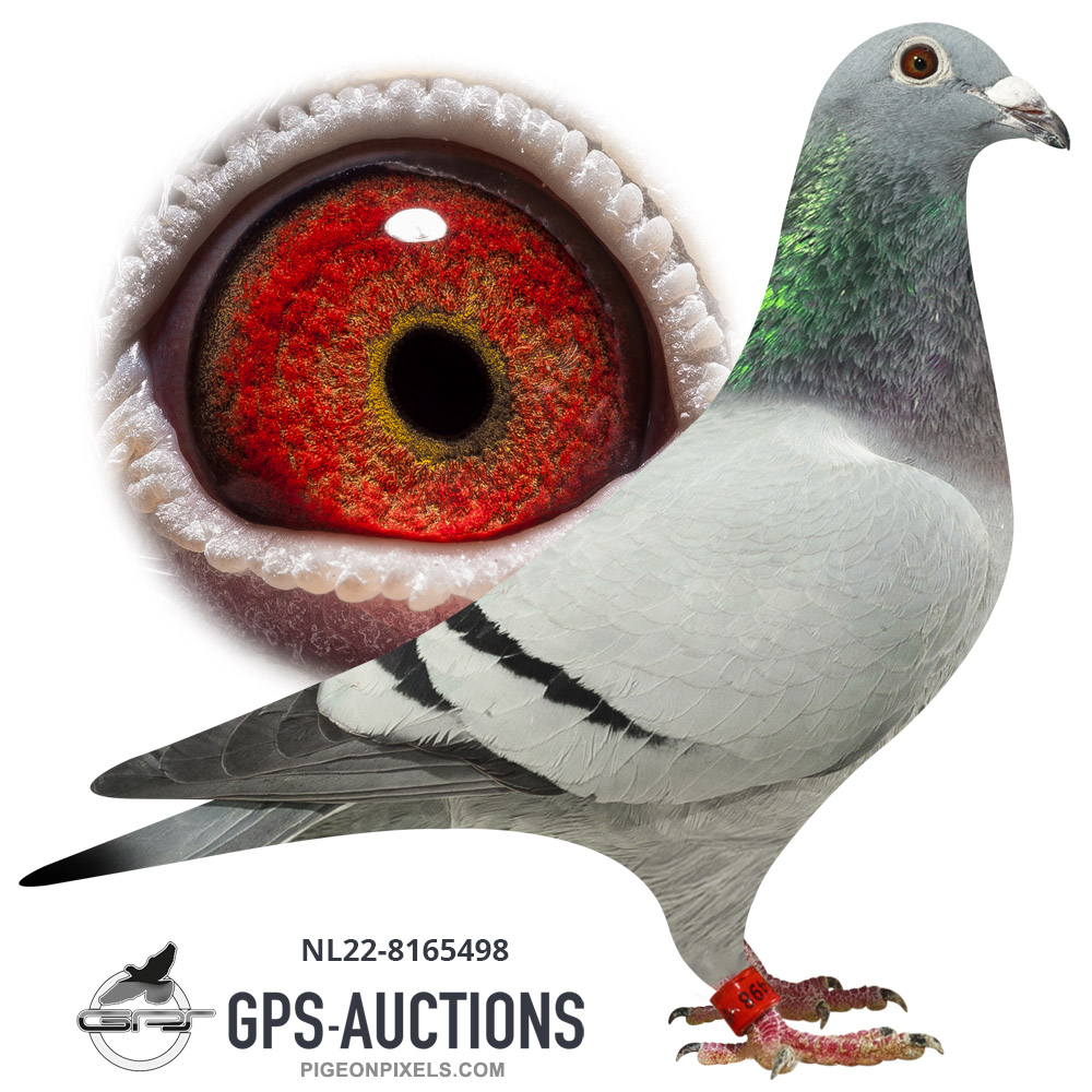 Cees Nijdeken Auction - GPS-Auctions