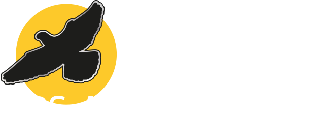 7 Special Originals - GPS-Auctions