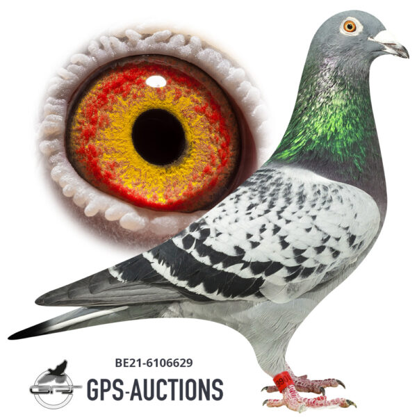 The Rudy van Reeth Auction - GPS-Auctions