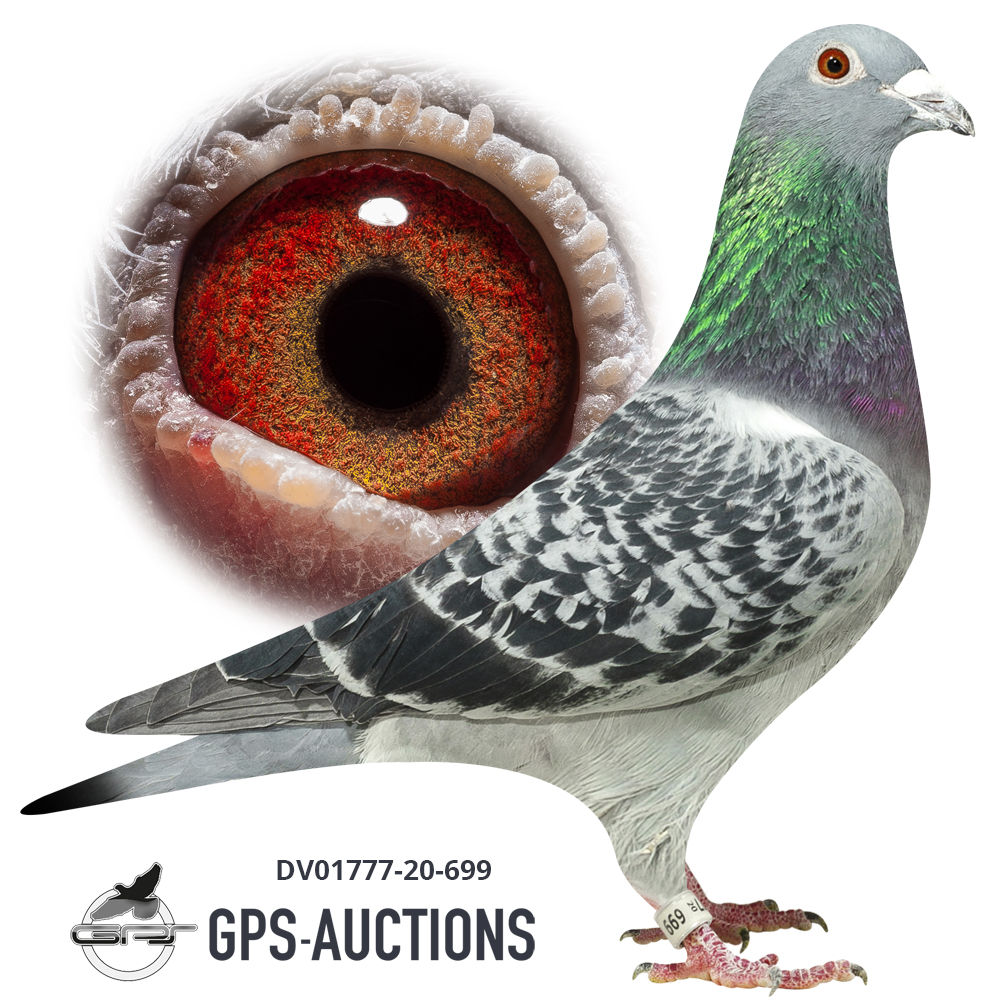 The German Mix - GPS-Auctions