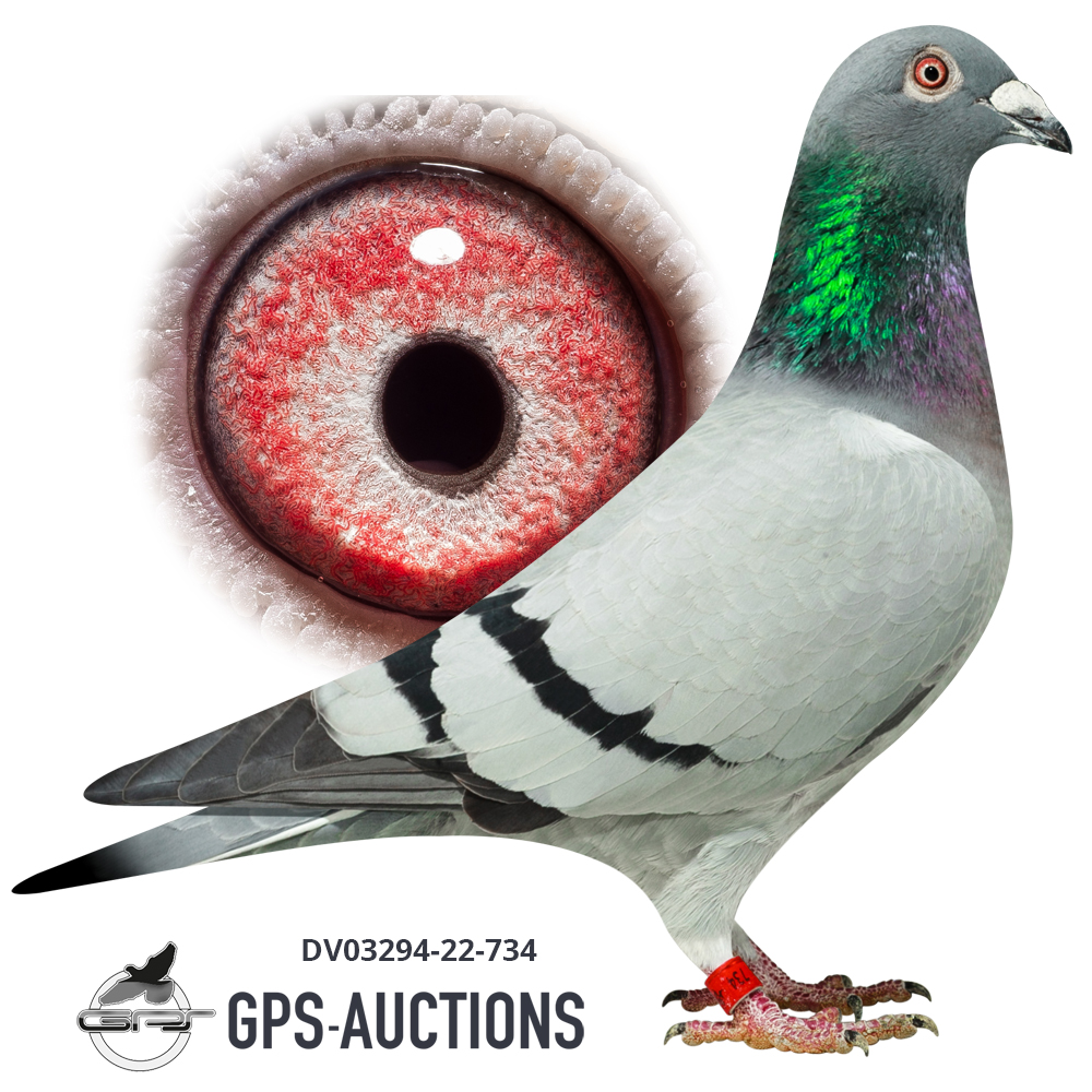 Peter Rager - GPS-Auctions