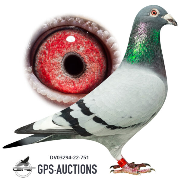 Peter Rager - GPS-Auctions