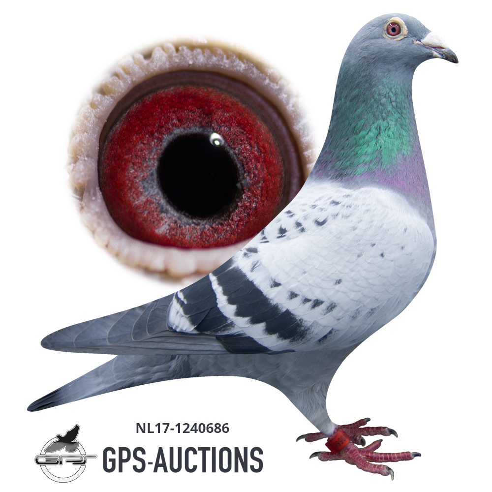 W.J. Noorlander - GPS-Auctions