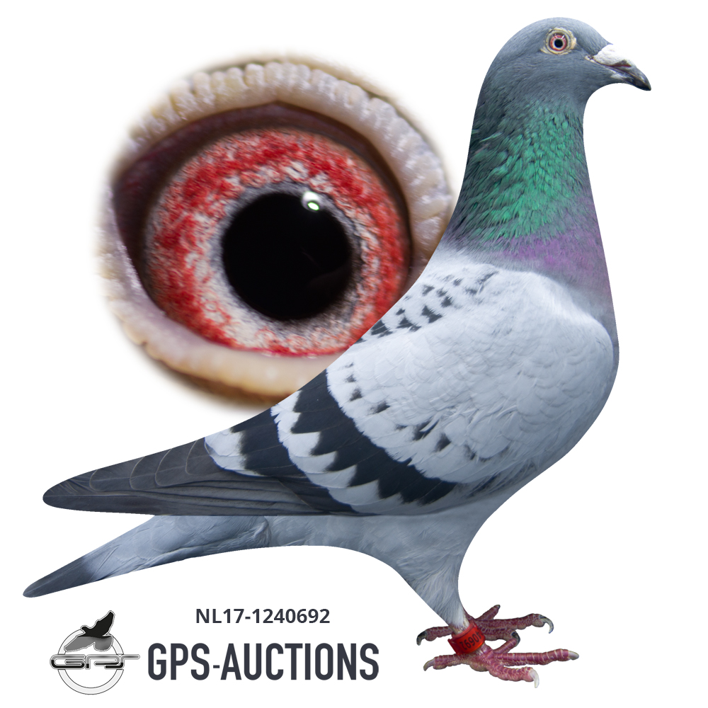 W.J. Noorlander - GPS-Auctions
