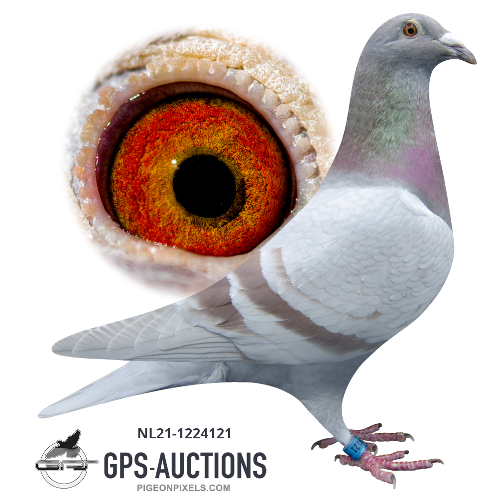 Burggraaf Global - GPS-Auctions
