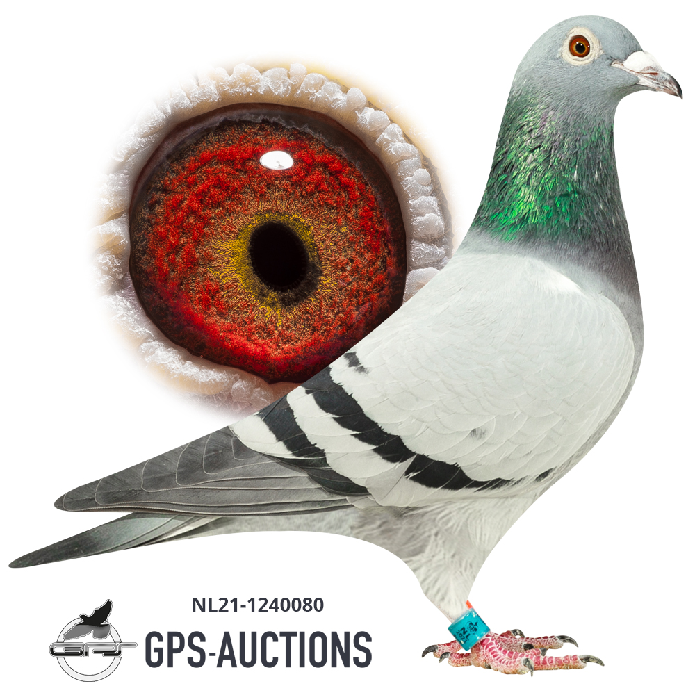 The Barcelona Special - GPS-Auctions