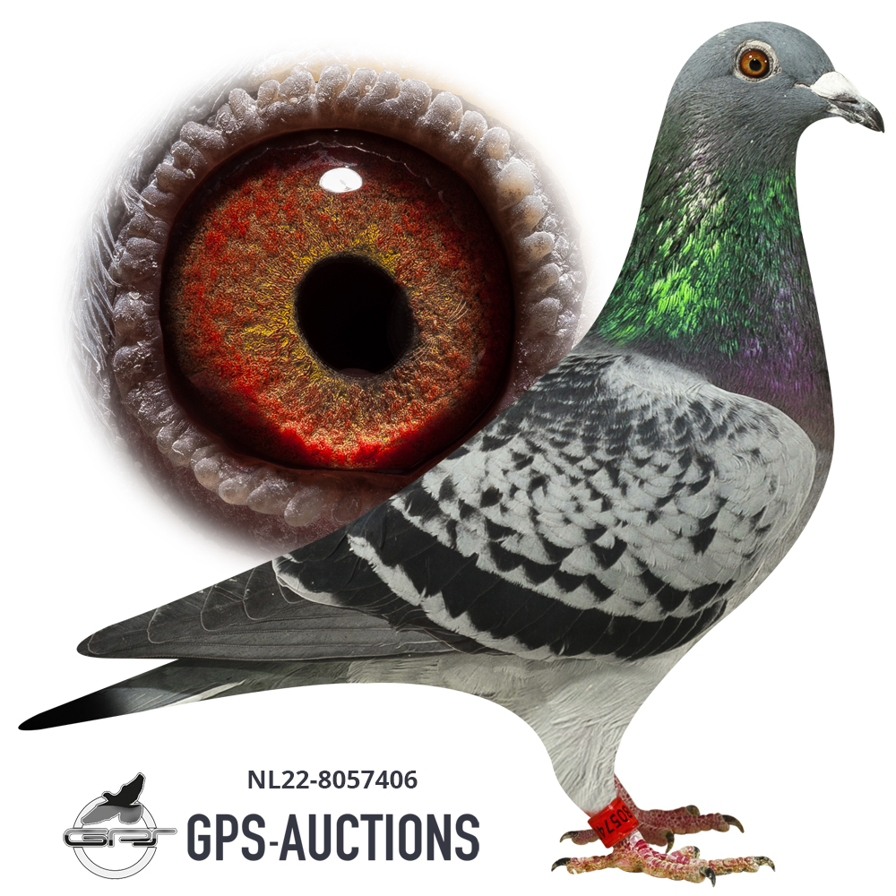 The Beute & Hansen Collection - GPS-Auctions