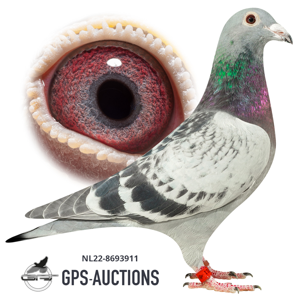 Champions Auction - GPS-Auctions