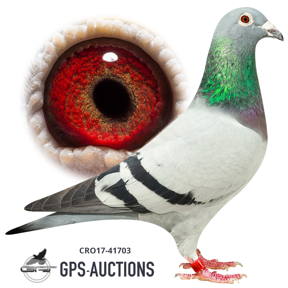 G. & A. Grafina, Prekopakra - GPS-Auctions