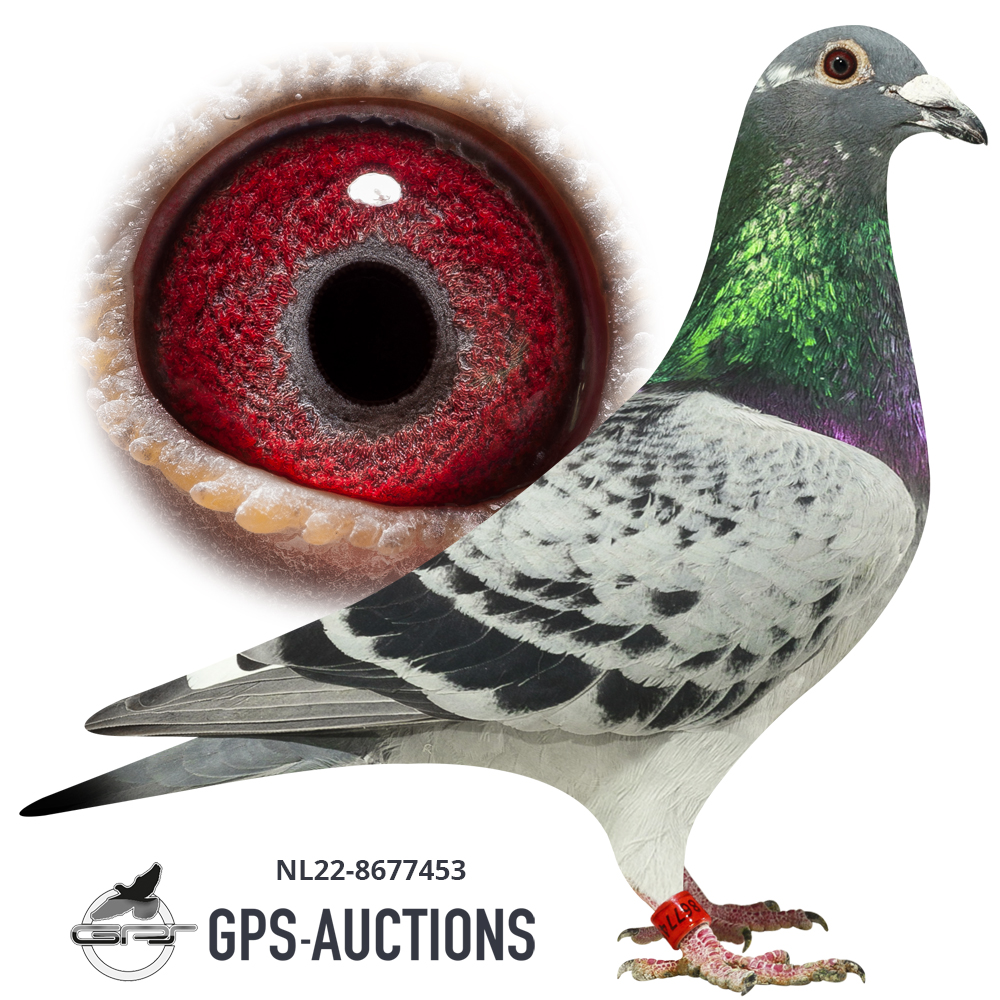 M. & S. Kobal Collection - GPS-Auctions