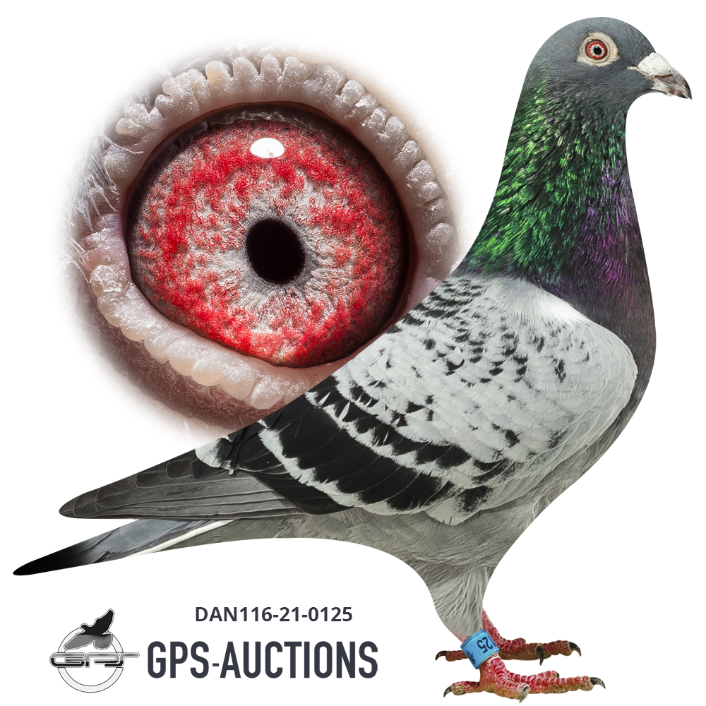 Re Auction August - GPS-Auctions