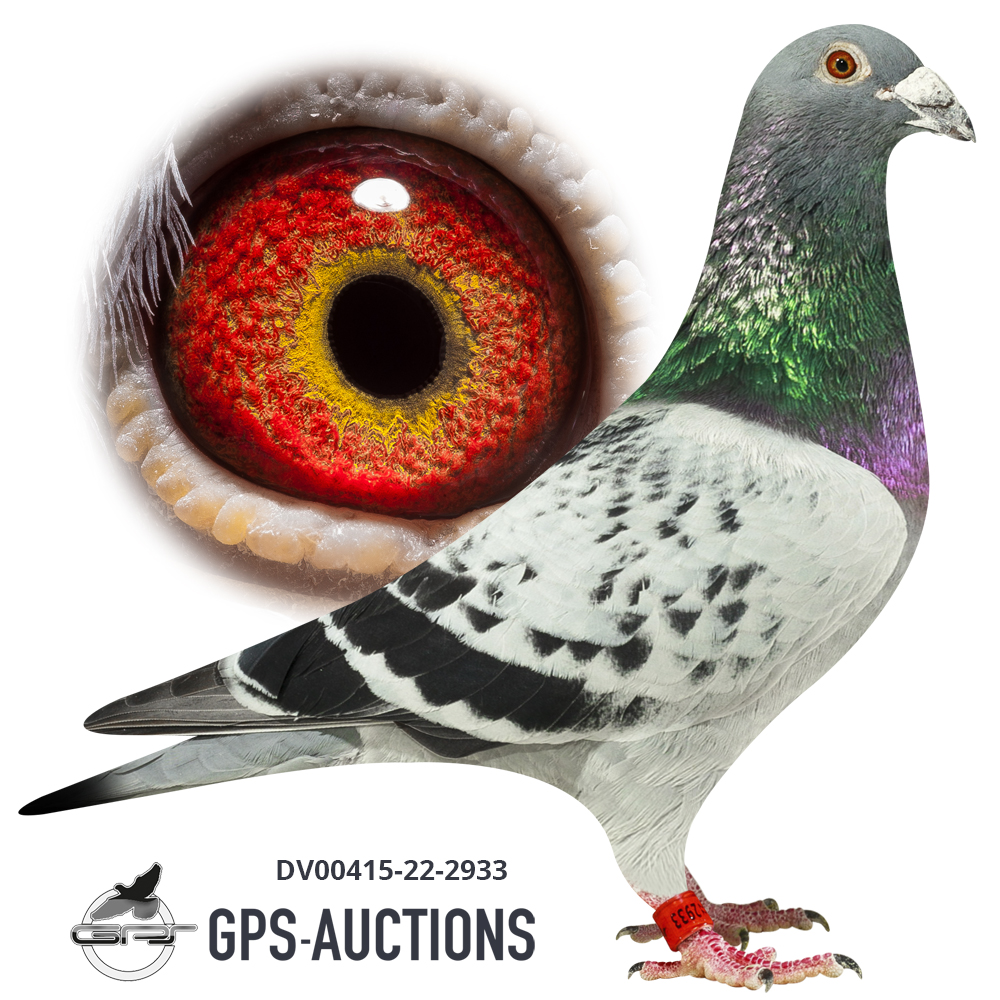 ينس أيدتنر (الهرمان) الجزء الأول - GPS-Auctions