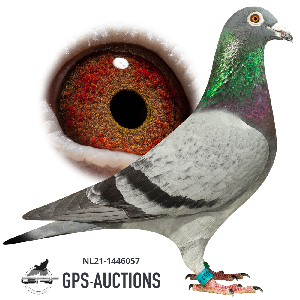Super Allround Mix - GPS-Auctions