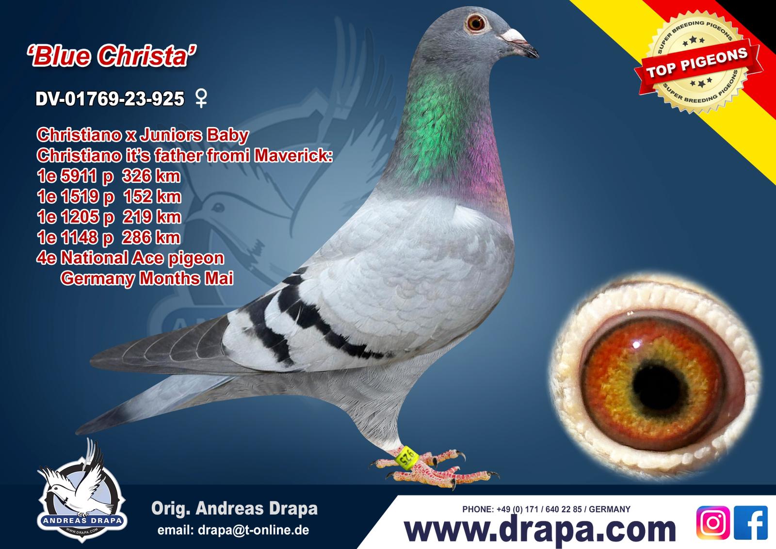 A.u W. Drapa Auction Part 2 - GPS-Auctions