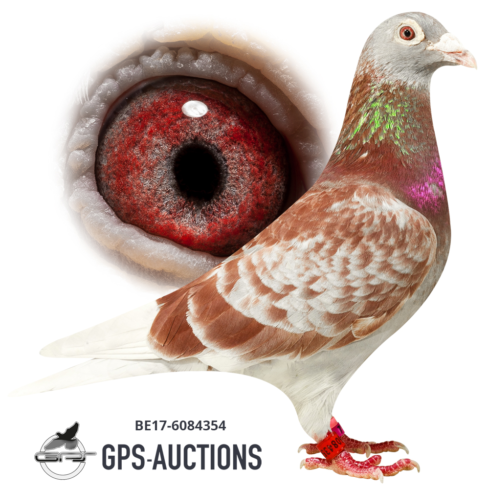 The Stefaan Lambrechts Special - GPS-Auctions