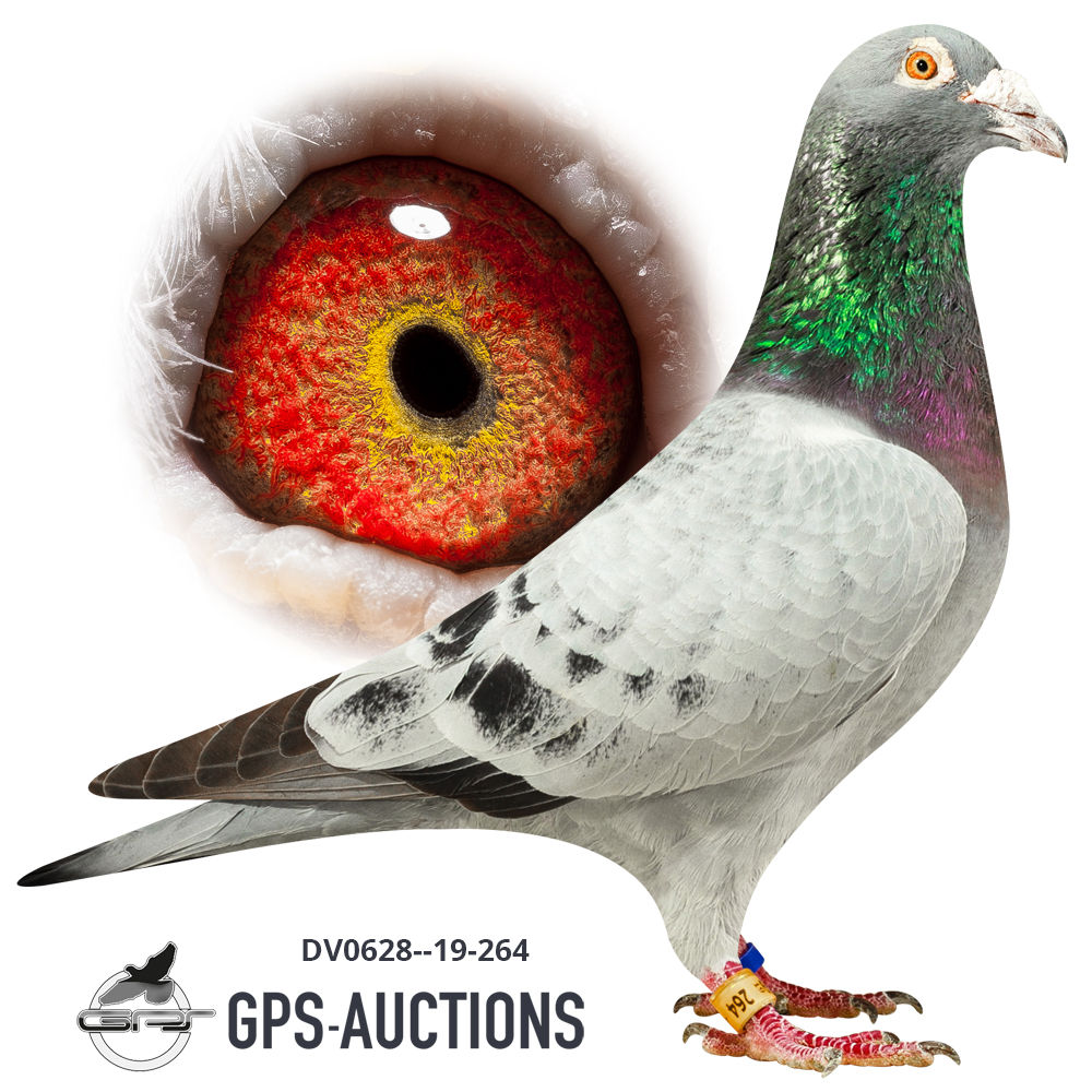 Franz Lange Auction Part 2 - GPS-Auctions