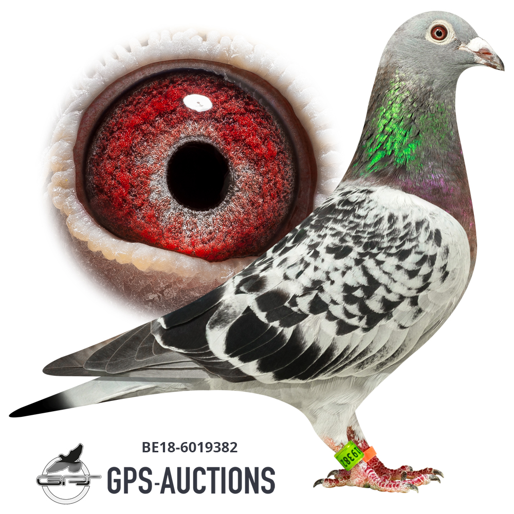 Danny van Dyck & Hermans Hoekstra Special - GPS-Auctions