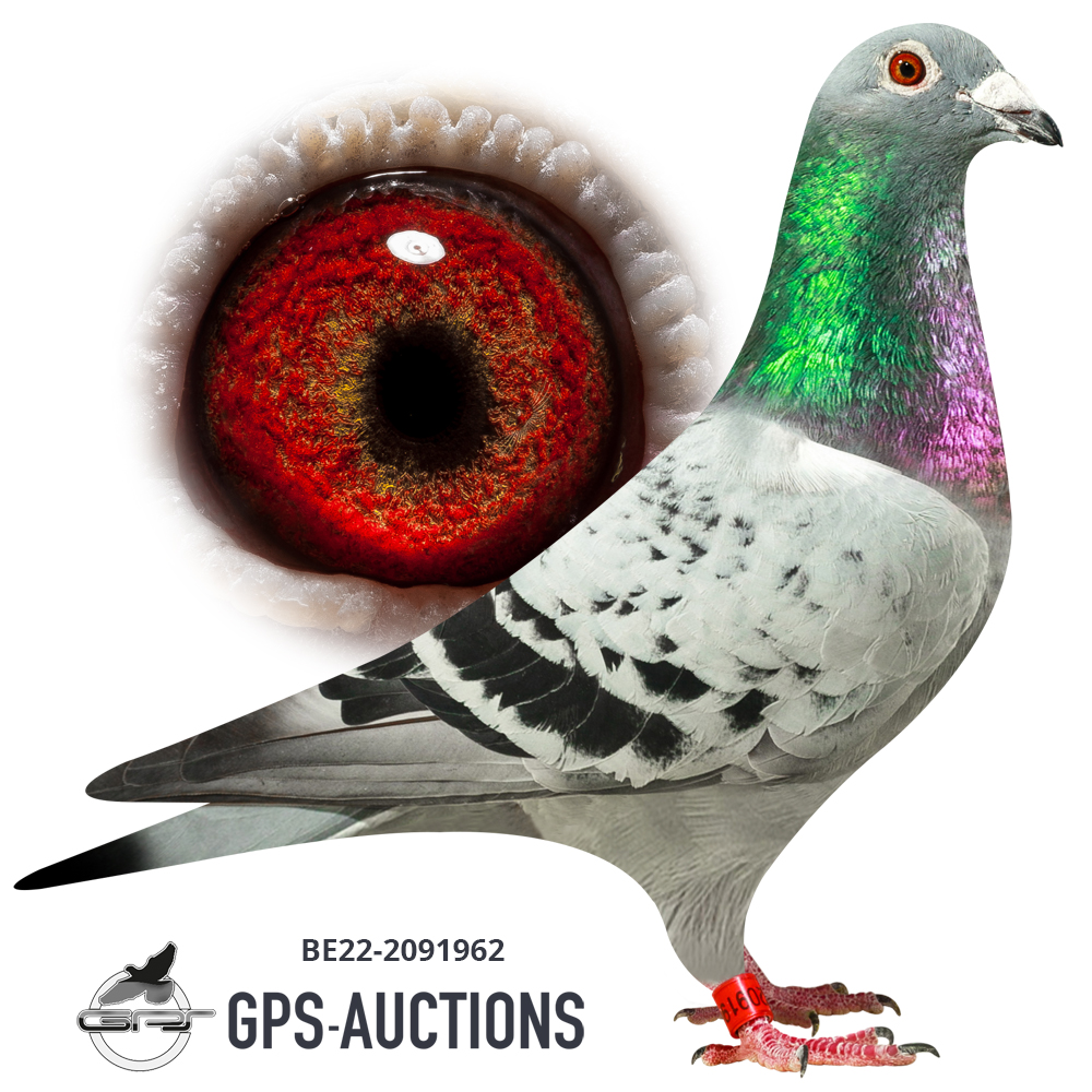 Yvan van den Bossche Part 1 - GPS-Auctions