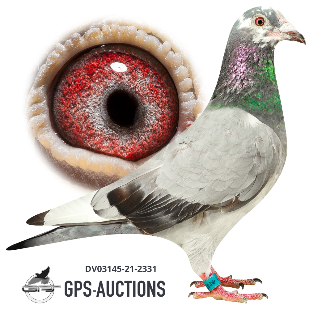 WBS Breeding Station - GPS-Auctions