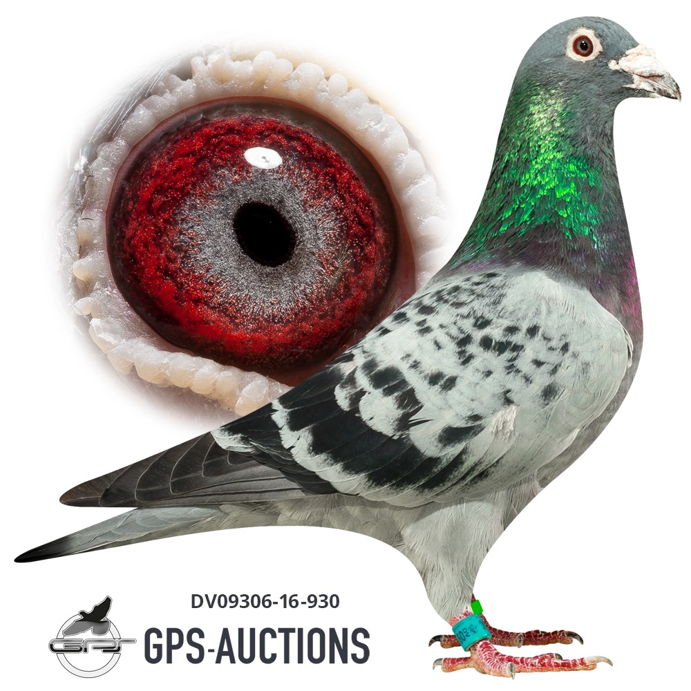 Reinhard & Ina Muhl - GPS-Auctions