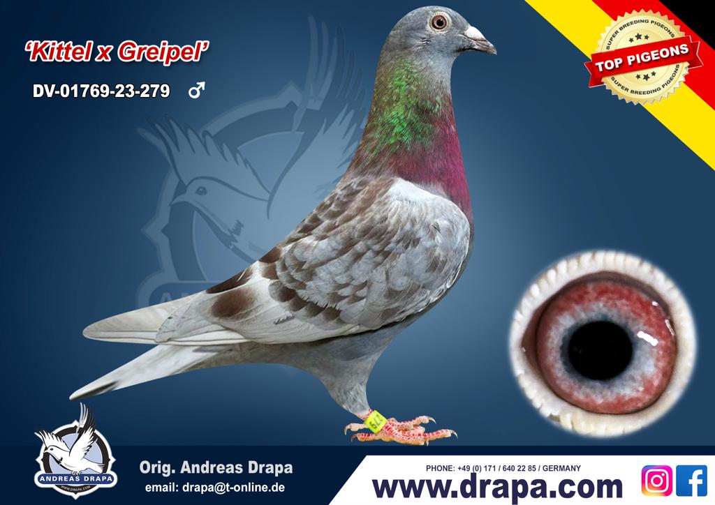 AuW Drapa Part 2 - GPS-Auctions