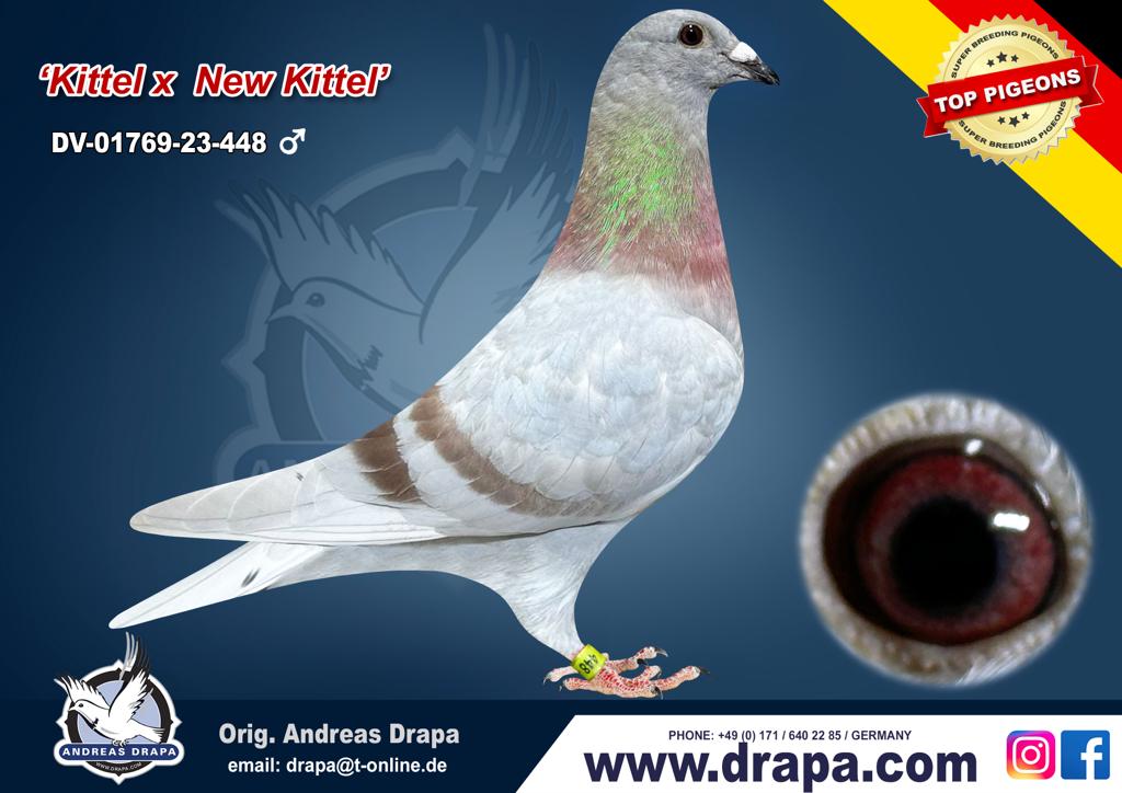 AuW Drapa Part 2 - GPS-Auctions