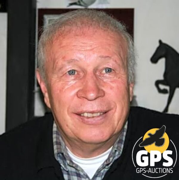 Veilingen - GPS-Auctions