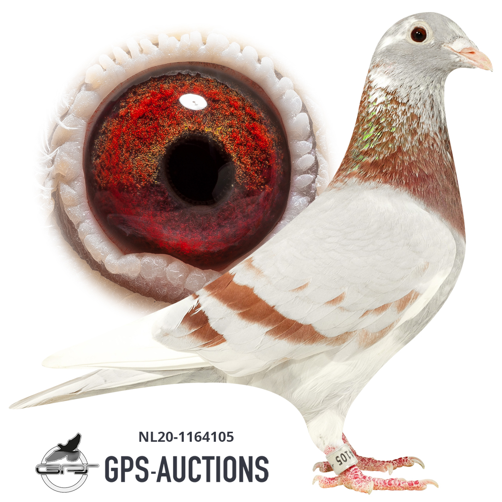 The "Red Bullens" Collection - GPS-Auctions