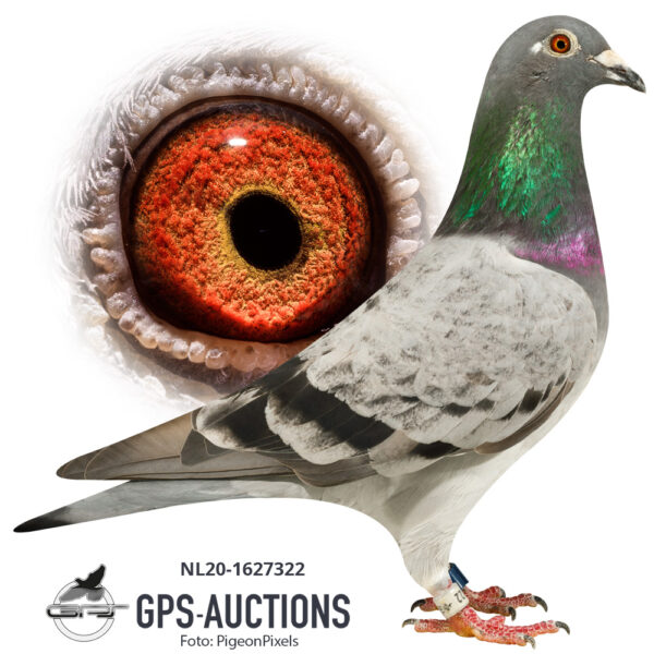 Total Auction Evert Diepeveen Part 7 - GPS-Auctions