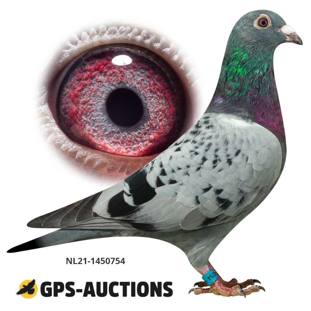 Tj. & J. Elzinga & Comb. Colección Fokkinga GPS-Auctions